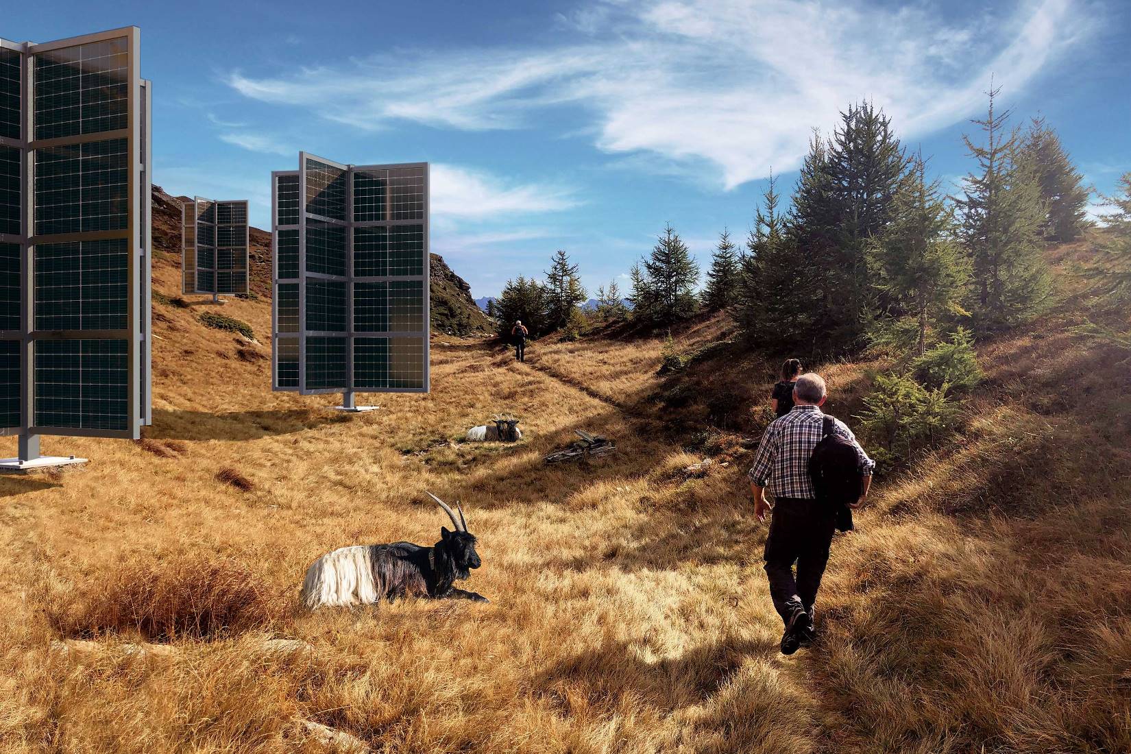 Strom aus den Alpen - Bulletin DE